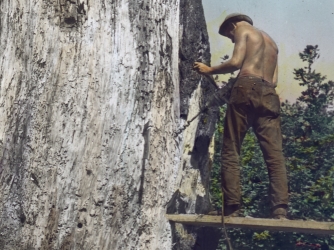 Civilian Conservation Corps