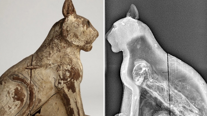 Scientists Reveal Inside Story of Ancient Egyptian Animal Mummies ...